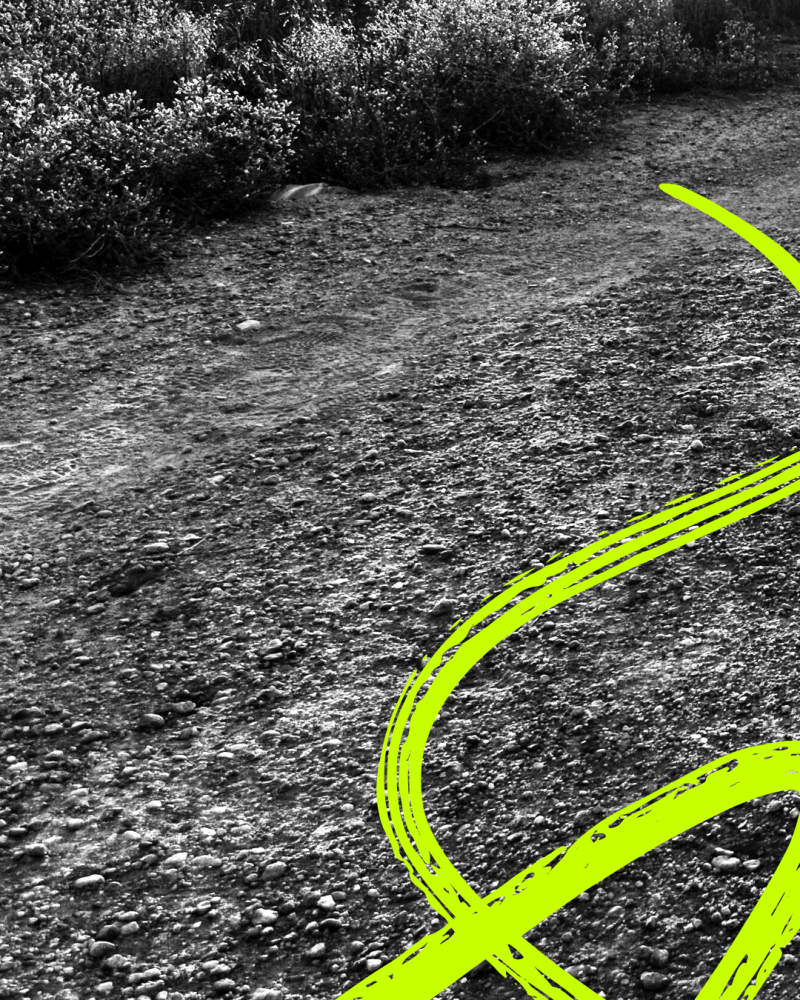 Der GRAVEL RUN - das neue innovative Running-Format